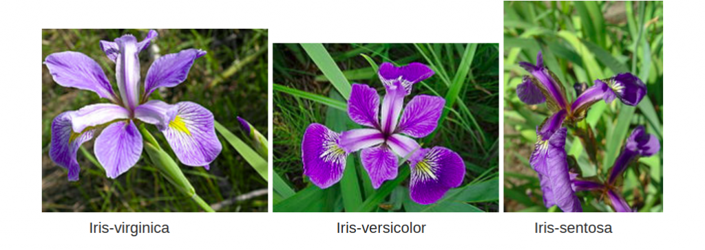 Expedition ML4SEC Part – 1 - Payatu